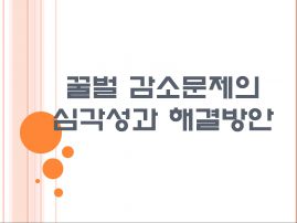 [꿀벌 감소문제] 꿀벌  감소문제의 심각성과 해결방안(꿀벌실종,꿀벌죽음)-1페이지