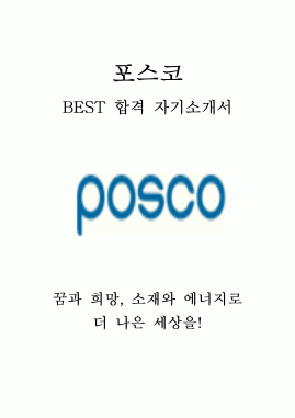 포스코 POSCO 최신 BEST 합격 자기소개서!!!!-1페이지