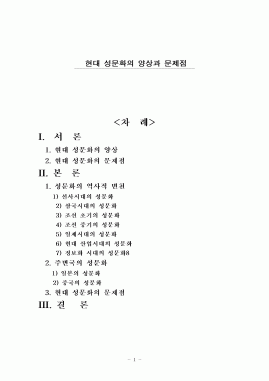 현대 성문화의 양상과 문제점-1페이지