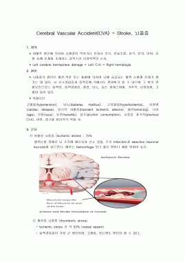 [뇌손상] Cerebral Vascular Accident[CVA] - Stroke, 뇌졸중-1페이지