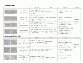 [소아치료] 아동 반사 정리-1페이지