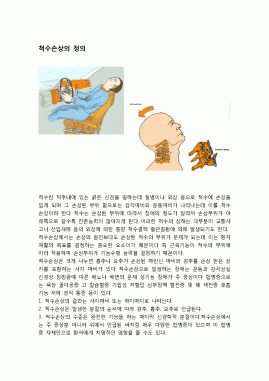 척수손상의 정의와 척수손상 치료목표의 수립, 척수손상의 재활치료-1페이지