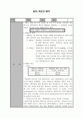 생물학 - 잎의 색소의 분리-1페이지