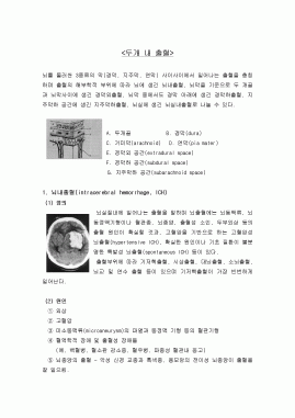 [의학] 두개 내 출혈에 관해-1페이지