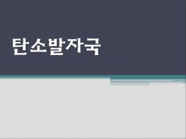 [환경과학의 이해] 탄소발자국에 대해서-1페이지