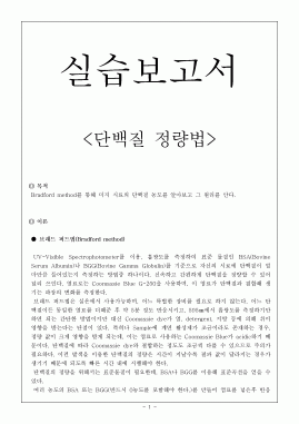 실습보고서 - 단백질 정량법 : 브래드 퍼드법-1페이지