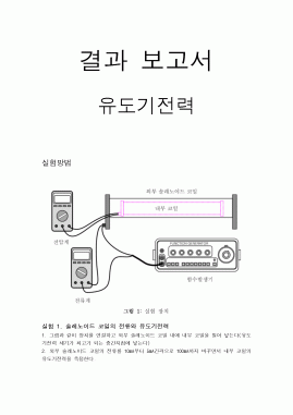 일반물리학 - 유도기전력 결과-1페이지