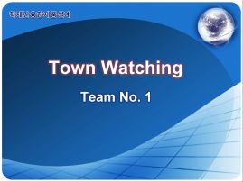 타운워칭 Town Watching(학제간)-1페이지