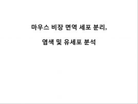 마우스 비장 면역세포 분리 및 염색-1페이지