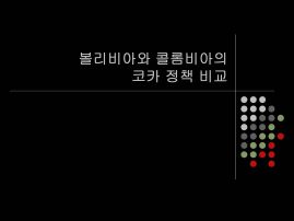 [사범/법학] 볼리비아와 콜롬비아의 코카 정책 비교-1페이지