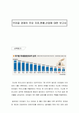 브라질 경제의 주요 지표,현황,산업에 대한 보고서-1페이지