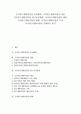 국가연구개발사업의 추진배경, 국가연구개발사업의 내용, 국가연구개발사업의 연구추진체제, 국가연구개발사업의 예산, 국가연구개발사업의 현황, 국가연구개발사업의 투자, 국가연구개발사업의 인센티브 분석-1페이지