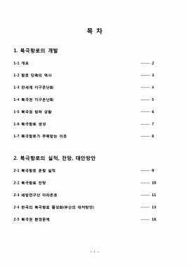 해사법규_북극항로 개발/실적/대응방안 보고서-1페이지