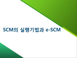 SCM의 실행기법과 e-SCM-1페이지