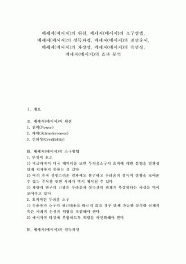 [메세지, 메시지]메세지(메시지)의 원천, 메세지(메시지)의 소구방법, 메세지(메시지)의 설득과정, 메세지(메시지)의 전달순서, 메세지(메시지)의 과장성, 메세지(메시지)의 측면성, 메세지(메시지)의 효과 분석-1페이지