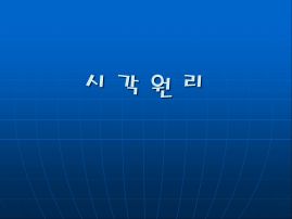 시각 원리-1페이지