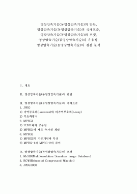 영상압축기술(동영상압축기술)의 발달, 영상압축기술(동영상압축기술)의 국제표준, 영상압축기술(동영상압축기술)의 포맷, 영상압축기술(동영상압축기술)의 유용성, 영상압축기술(동영상압축기술)의 쟁점 분석-1페이지