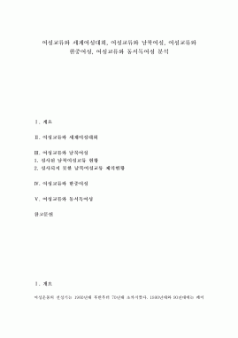 [여성교류, 여성교류와 세계여성대회, 여성교류와 남북여성, 여성교류와 한중여성, 여성교류와 동서독여성]여성교류와 세계여성대회, 여성교류와 남북여성, 여성교류와 한중여성, 여성교류와 동서독여성 분석-1페이지