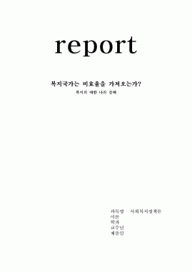 복지국가는 비효율을 가져오는가?-1페이지