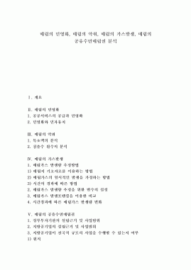 [매립, 매립 민영화, 매립 악취, 매립 가스발생, 매립 공유수면매립권, 민영화, 악취, 가스발생, 공유수면매립권]매립의 민영화, 매립의 악취, 매립의 가스발생, 매립의 공유수면매립권 분석(매립, 민영화, 악취)-1페이지