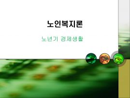 노년기 일, 소득과 자산, 경제활동, 퇴직과 문제점 PPT 프레젠테이션-1페이지