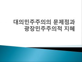 대의민주주의의 문제점과 광장민주주의적 지혜,대인민주주의,광장민주주의,옴부즈만제도,코포라티즘-1페이지