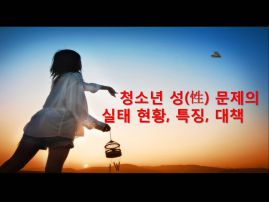 청소년 성문제 실태 현황, 특징, 대책 대학 발표 자료-1페이지