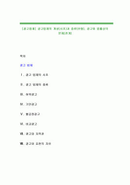 [광고법제] 광고법제의 개념(시초)과 종류(유형), 광고와 법률상의 문제(관계)-1페이지