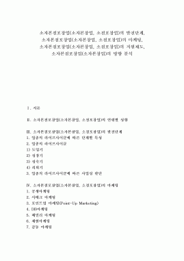 [창업]소자본점포창업(소자본창업, 소점포창업)의 발전단계, 소자본점포창업(소자본창업, 소점포창업)의 마케팅, 소자본점포창업(소자본창업, 소점포창업)의 지원제도, 소자본점포창업(소자본창업)의 방향 분석-1페이지