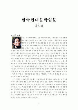 한국현대문학입문 - 박노해 시인의 일생과 작품에 대해서-1페이지