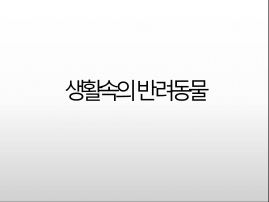 생활속의 반려동물에 대해서-1페이지