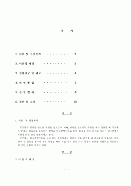 구조실험 - 처짐 중첩의 원리-1페이지