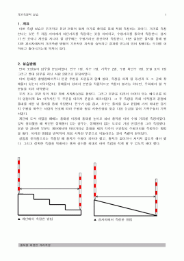 기본측량 실습 - 줄자를 이용한 거리측정-1페이지