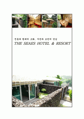 제주 씨에스 호텔[the seaes hotel & resort] swot분석 및 4p-1페이지