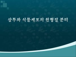 삼투와 식물세포의 원형질 분리-1페이지