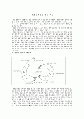 [의학] 반월상 연골 손상-1페이지