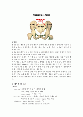 스포츠 선수의 천장관절[Sacroiliac Joint]의 전반적인 이해 및 손상, 치료, 재활-1페이지