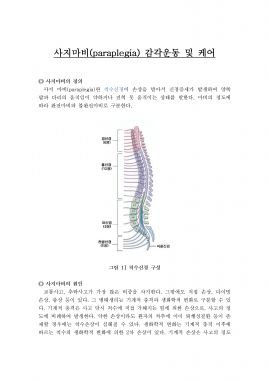 [재활의학] 사지마비[paraplegia] 감각운동 및 케어-1페이지