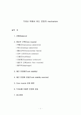 [물리치료] 토구[TOGU] 위에서 하는 운동의 mechanism-1페이지