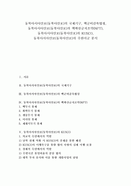 [동북아안보]동북아시아안보(동북아안보)의 국제기구, 핵군비감축협정, 동북아시아안보(동북아안보)의 핵확산금지조약(NPT), 동북아시아안보(동북아안보)의 KUSCO, 동북아시아안보(동북아안보)의 주한미군 분석-1페이지