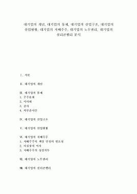 [대기업][기업][대기업 개념][대기업 통제][대기업 산업구조][대기업 산업현황]대기업의 개념, 대기업의 통제, 대기업의 산업구조, 대기업의 산업현황, 대기업의 지배주주, 대기업의 노무관리, 대기업의 실리콘밸리-1페이지