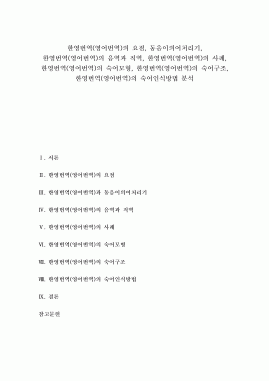 한영번역(영어번역)의 요점, 동음이의어처리기, 한영번역(영어번역)의 음역과 직역, 한영번역(영어번역)의 사례, 한영번역(영어번역)의 숙어모형, 한영번역(영어번역) 숙어구조, 한영번역(영어번역) 숙어인식방법-1페이지