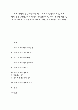 [막스 베버]막스 베버의 연구가능주제, 막스 베버의 정치지도자론, 막스 베버의 인간행위, 막스 베버의 현실탐구과학, 막스 베버의 개신교, 막스 베버의 관료제, 막스 베버의 과학, 막스 베버의 가치 분석-1페이지