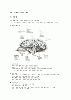 성인간호학 Ⅵ. 신경계 종양과 간호-1페이지