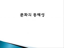 문화의동태성,문화동태성,문화동태성과광고-1페이지