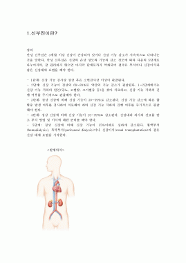 [자연과학] 투석환자 간호-1페이지