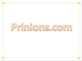 Prinions.com 기업분석-1페이지