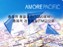 총체적 품질경영(TQM)에서  총체적 경영품질(TMQ)으로 -1페이지