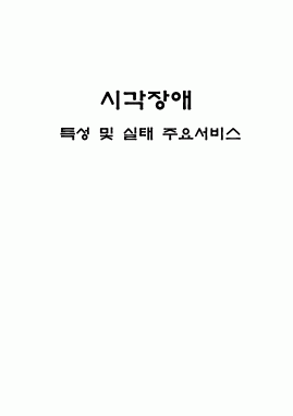 시각장애 특성 및 실태 주요서비스-1페이지