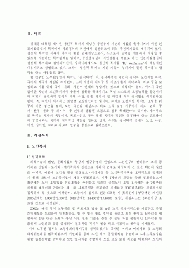 노무현정부의 사회복지-1페이지